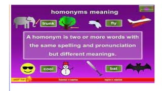 homophones and homonyms.pptx