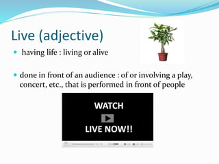 Homophones & Homographs- Cody | PPTX