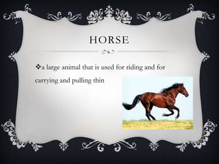 Homophones & Homographs- Cody | PPTX