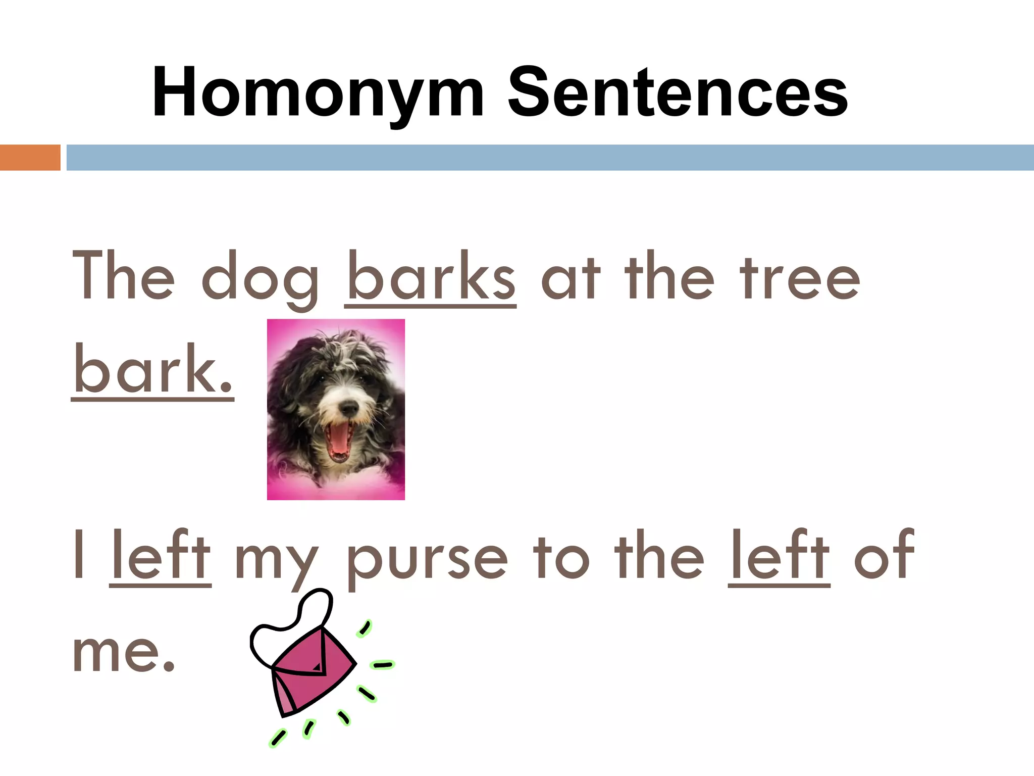 Homographs homophones and homonyms list in PDF. | PDF