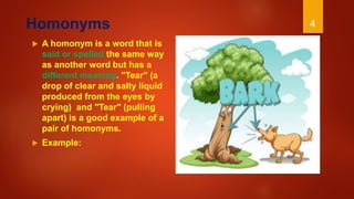 Homophones & homonyms | PPTX