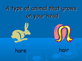 Homophones | PPT