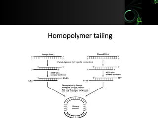HOMOPOLYMER TAILING.pptx