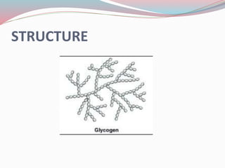 Homopolysaccharide glycogen | PPTX