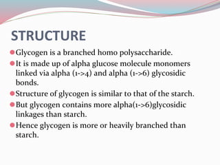 Homopolysaccharide glycogen | PPT