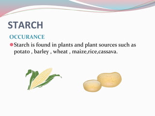 Homopolysaccharide starch | PPTX