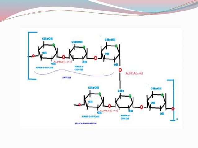 Homopolysaccharide starch | PPT