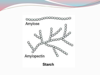 Homopolysaccharide starch | PPTX