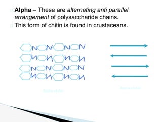 homopolysaccharide chitin | PPTX
