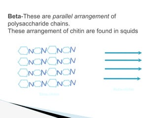 homopolysaccharide chitin | PPTX