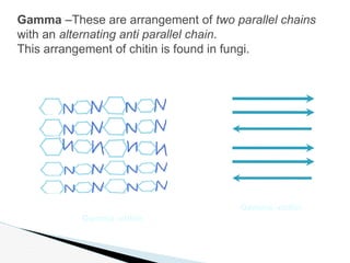 homopolysaccharide chitin | PPTX