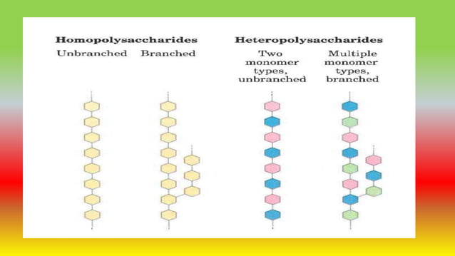Structure and properties of Homopolysaccharides | PPTX