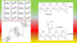 Structure and properties of Homopolysaccharides | PPTX