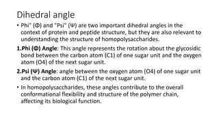Homopolysachharide folding and function of oligosaccharides in ...