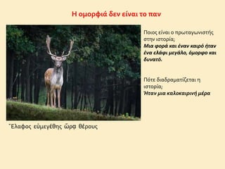H ομορφιά δεν είναι το παν | PPT