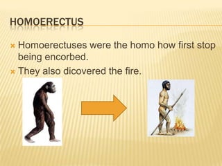 Homos | PPTX | Geology | Science