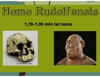 Homosapiens | PPT