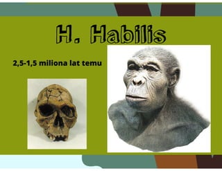Homosapiens | PDF