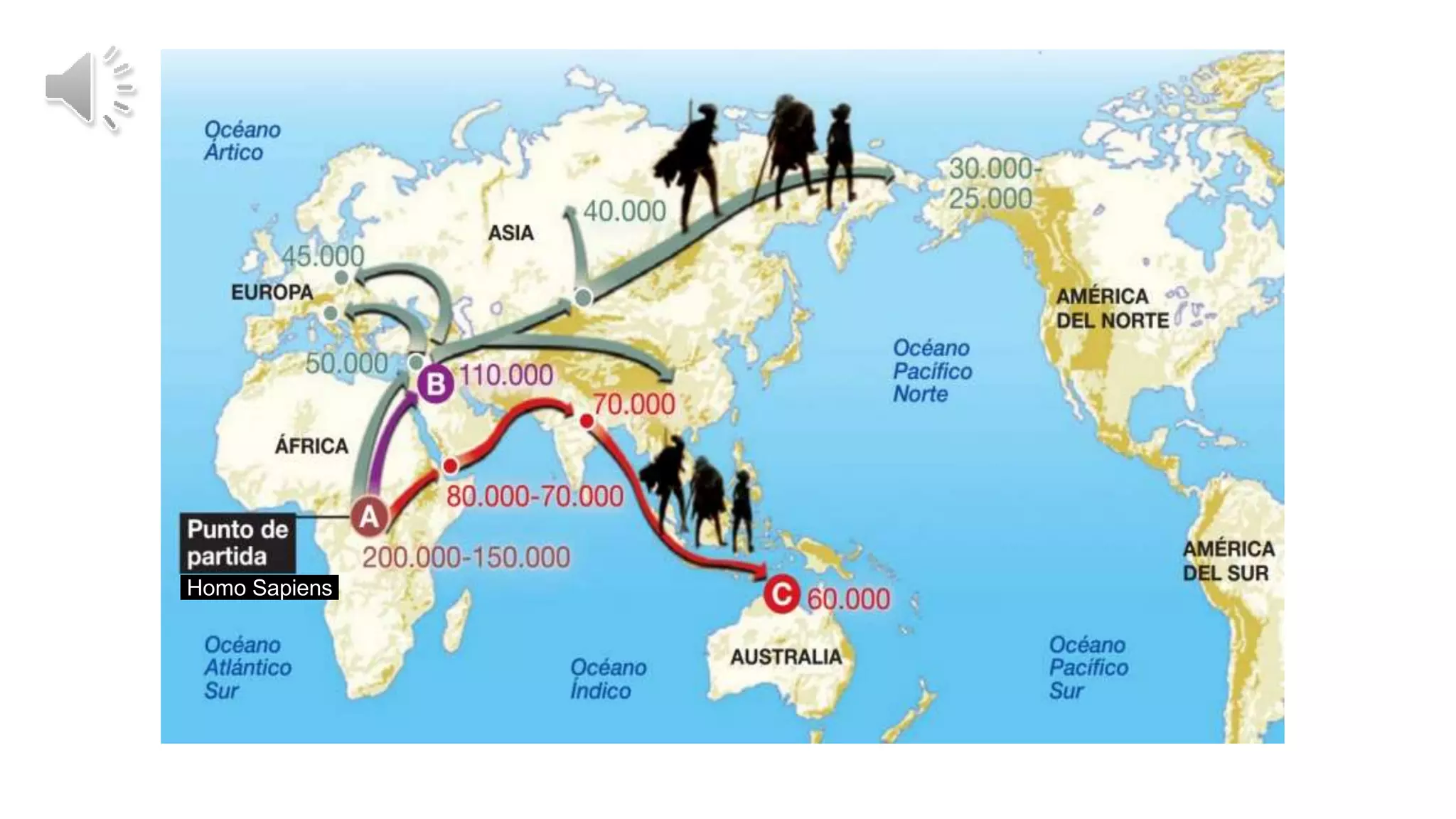 Homo sapiens | PPT