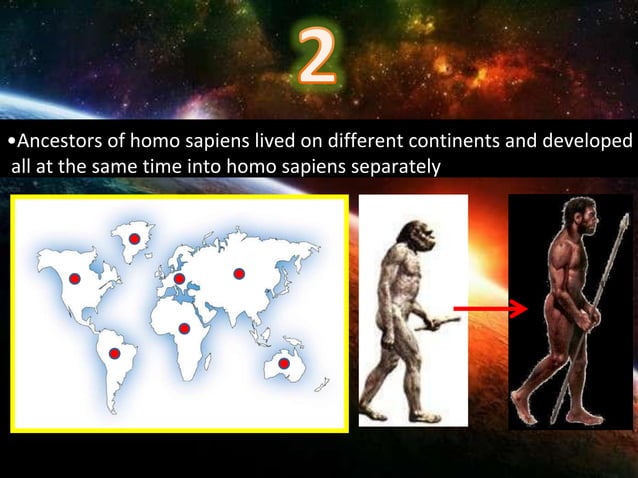 Homosapiens -- 17 BCL062 | PPT