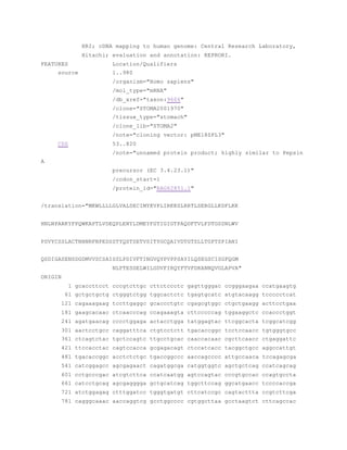 Homo sapiens (human pepsin) NCBI GENBANK | DOCX