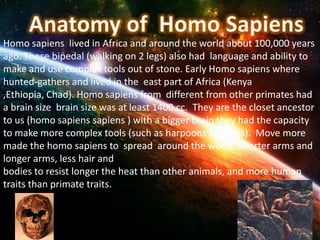 Homo sapiens presentation 6F | PPTX