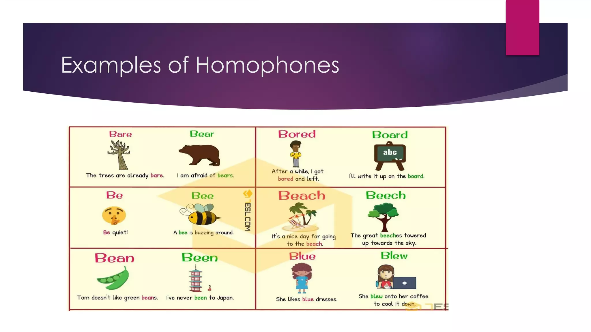 Homophone, homonyms.homographs | PPT