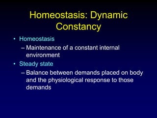 homeostasis and changes happening in body and feedback. | PPT