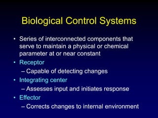 homeostasis and changes happening in body and feedback. | PPT