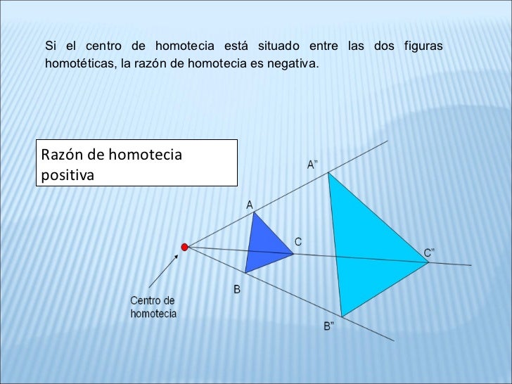 Homotecia
