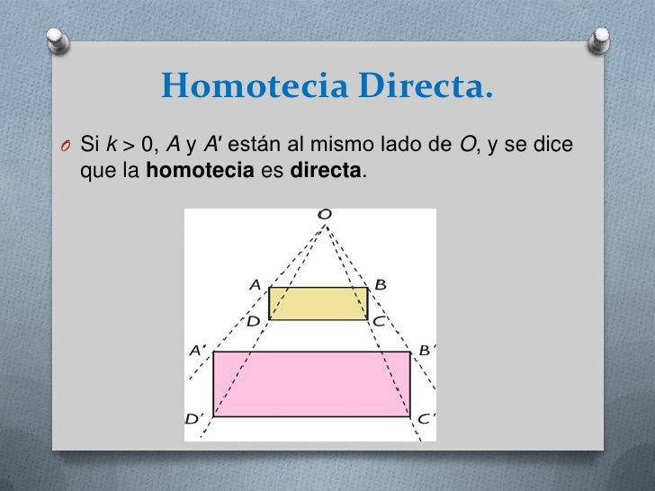 Homotecia