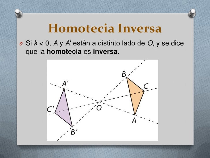 Homotecia