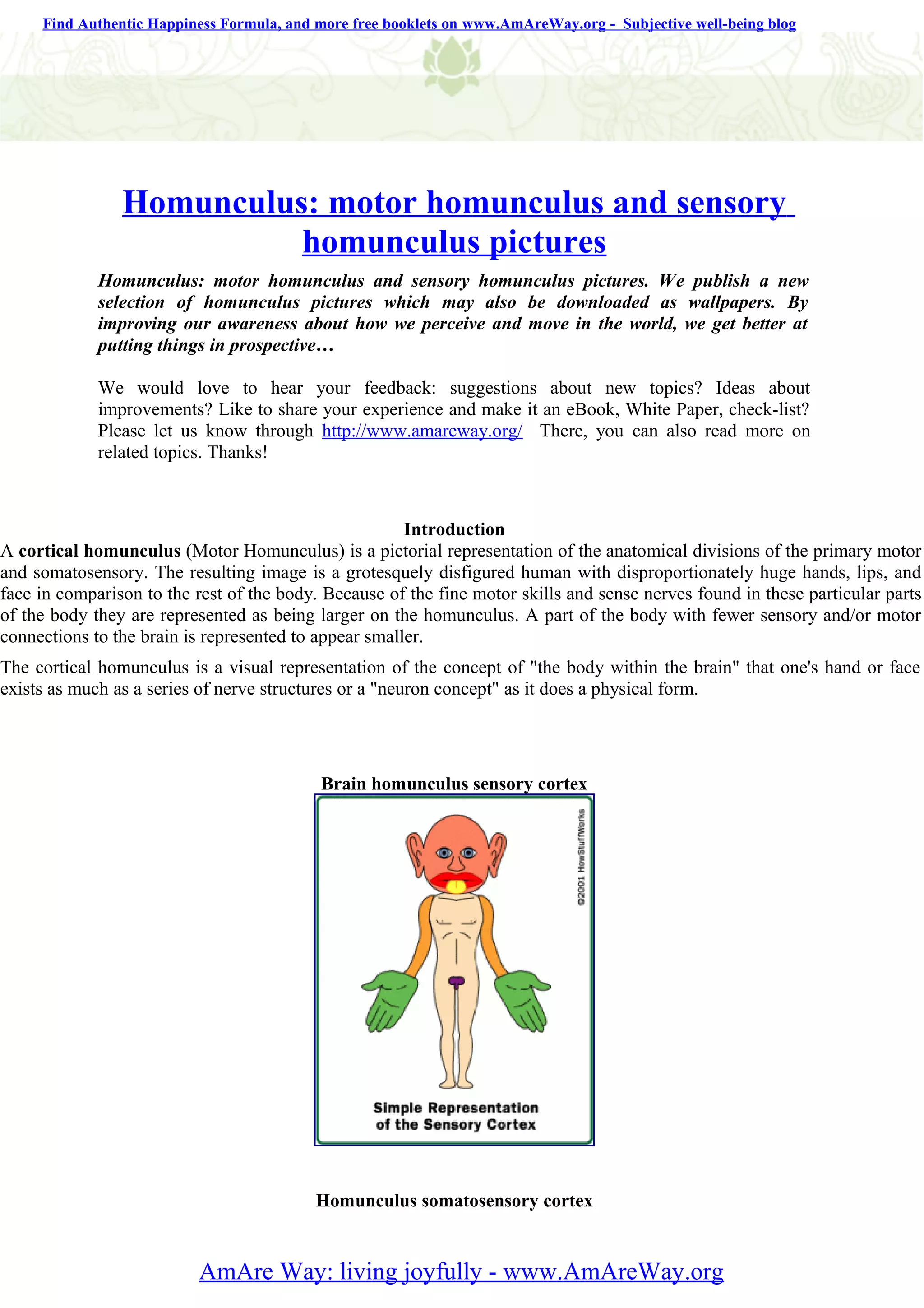 Homunculus | PDF