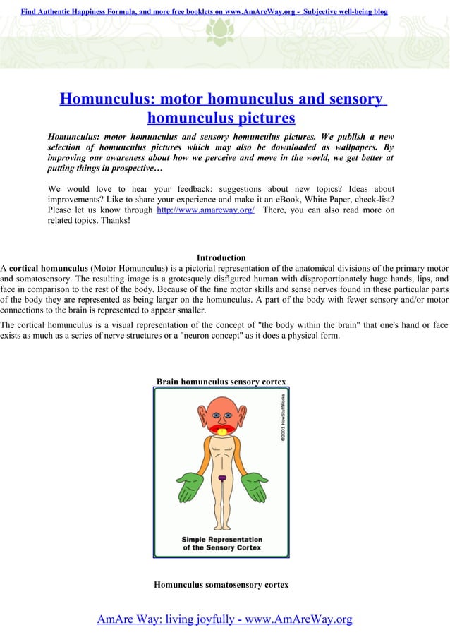 Homunculus | PDF