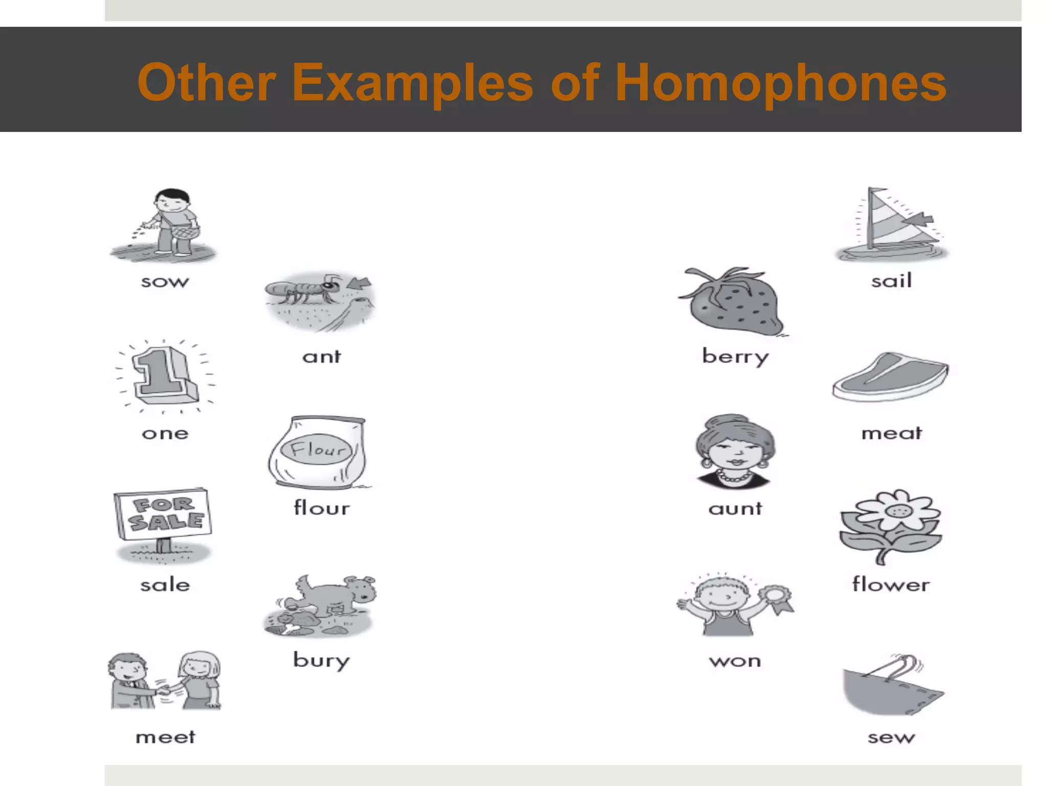 Homophones homographs & homonyms list with examples PDF | PDF | Musical ...