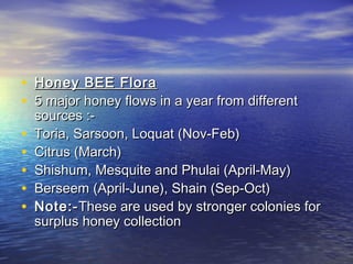 Hone bee Life cycle Apis mellifera Apis Dorsata Apis carana Apis florae ...