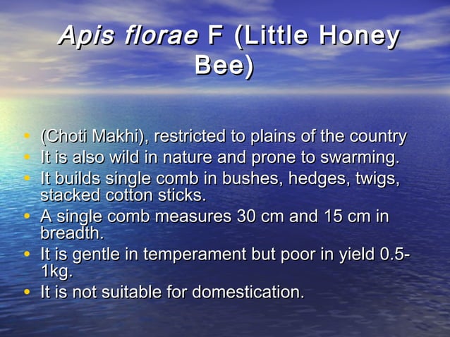Hone bee Life cycle Apis mellifera Apis Dorsata Apis carana Apis florae ...