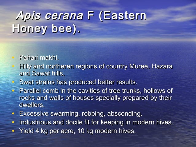 Hone bee Life cycle Apis mellifera Apis Dorsata Apis carana Apis florae ...