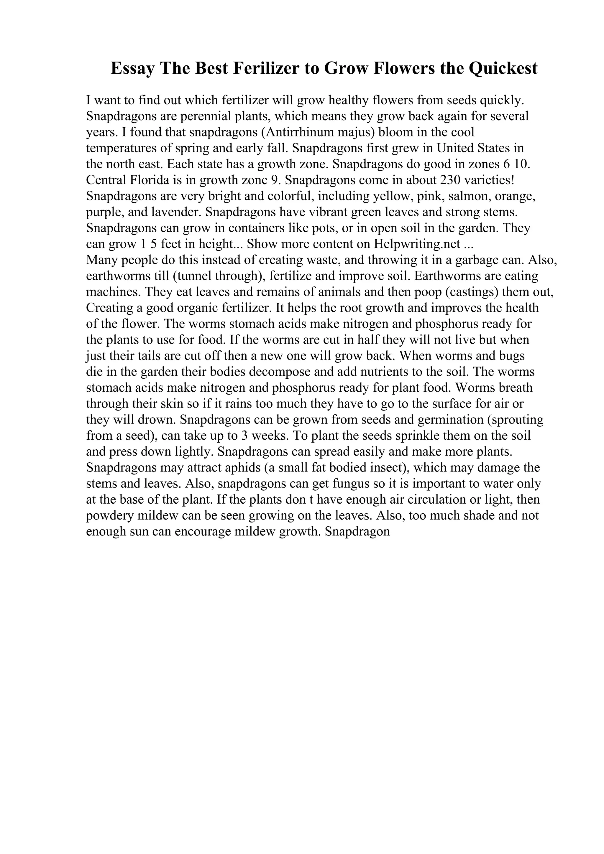 Honesty Essay Examples.pdf