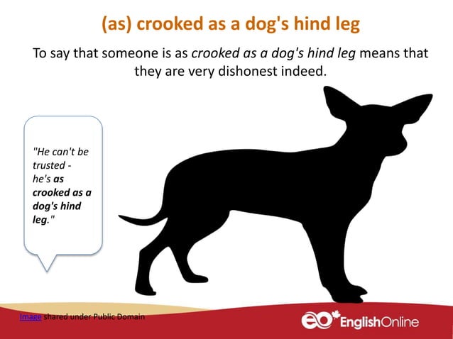 Honesty idioms set 2 | PPTX