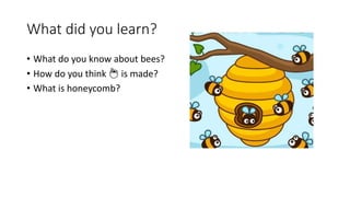 Cambridge reading adventures All about Honey | PPTX
