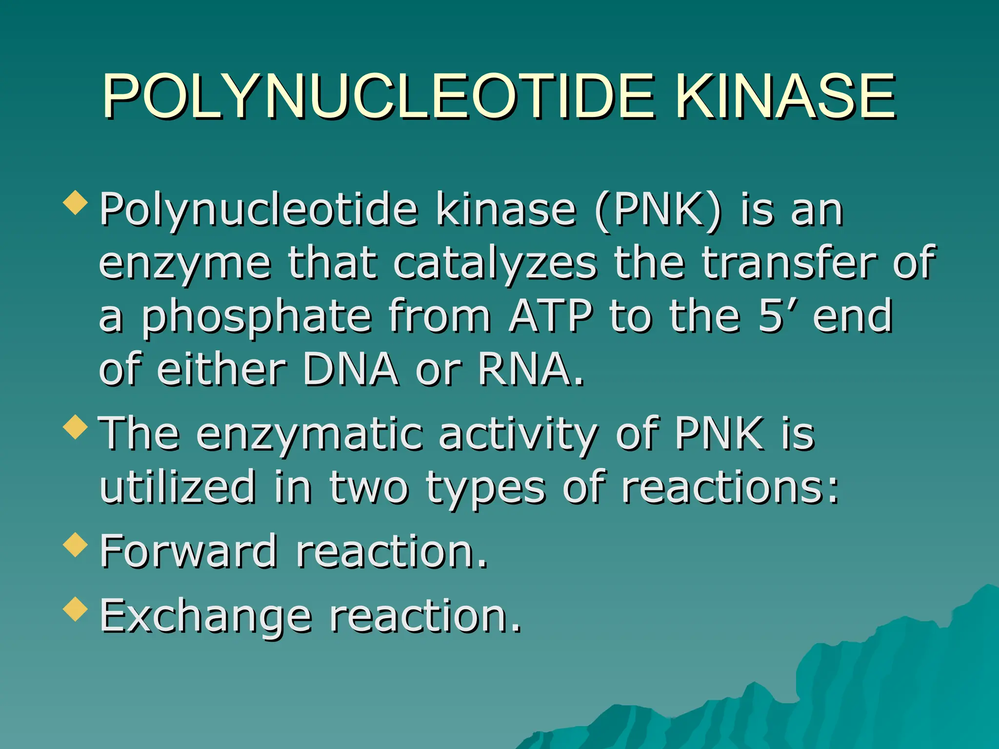 enzymes used in rDNA Technology_honey.ppt