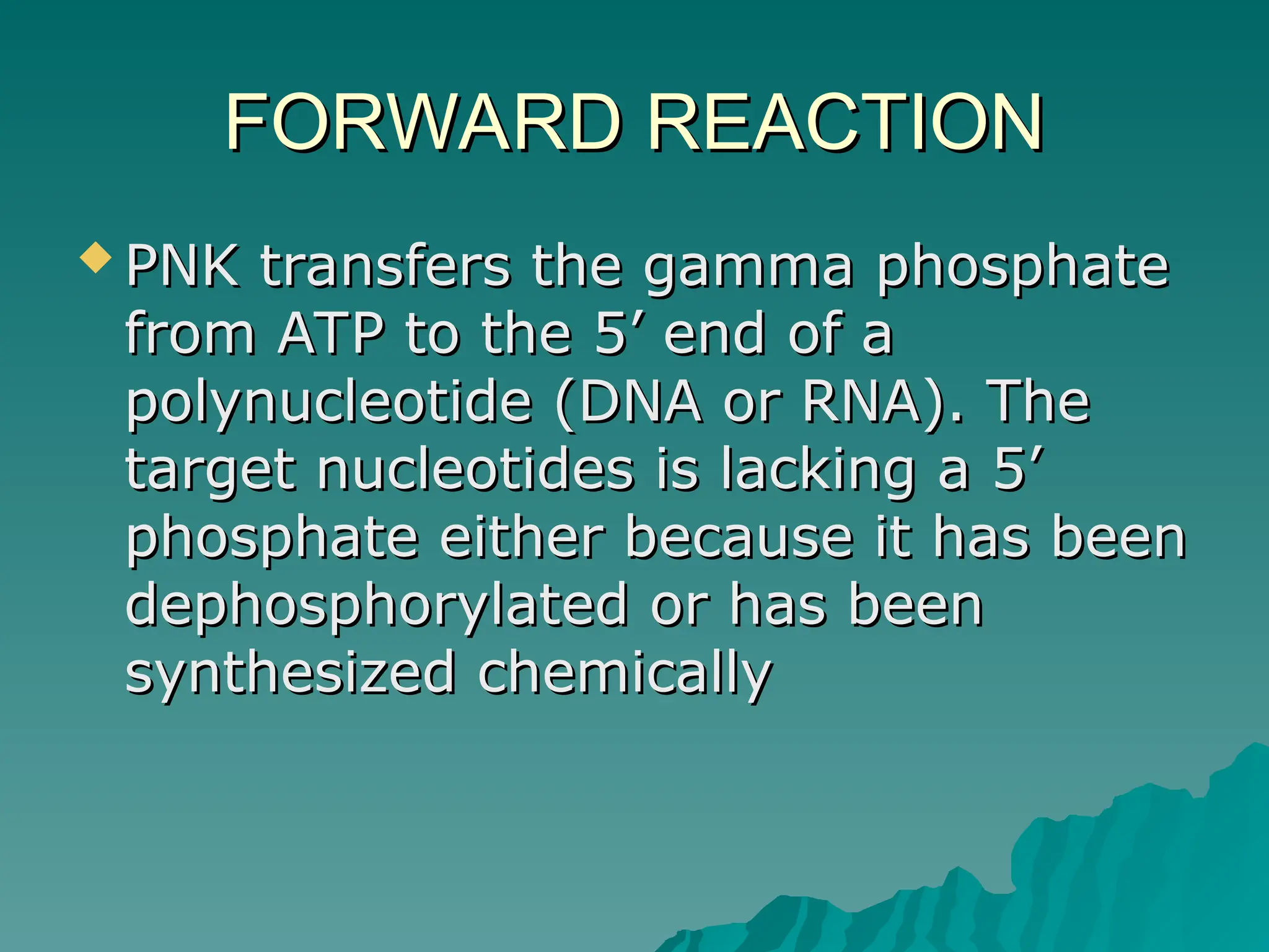 enzymes used in rDNA Technology_honey.ppt