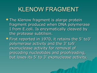 enzymes used in rDNA Technology_honey.ppt