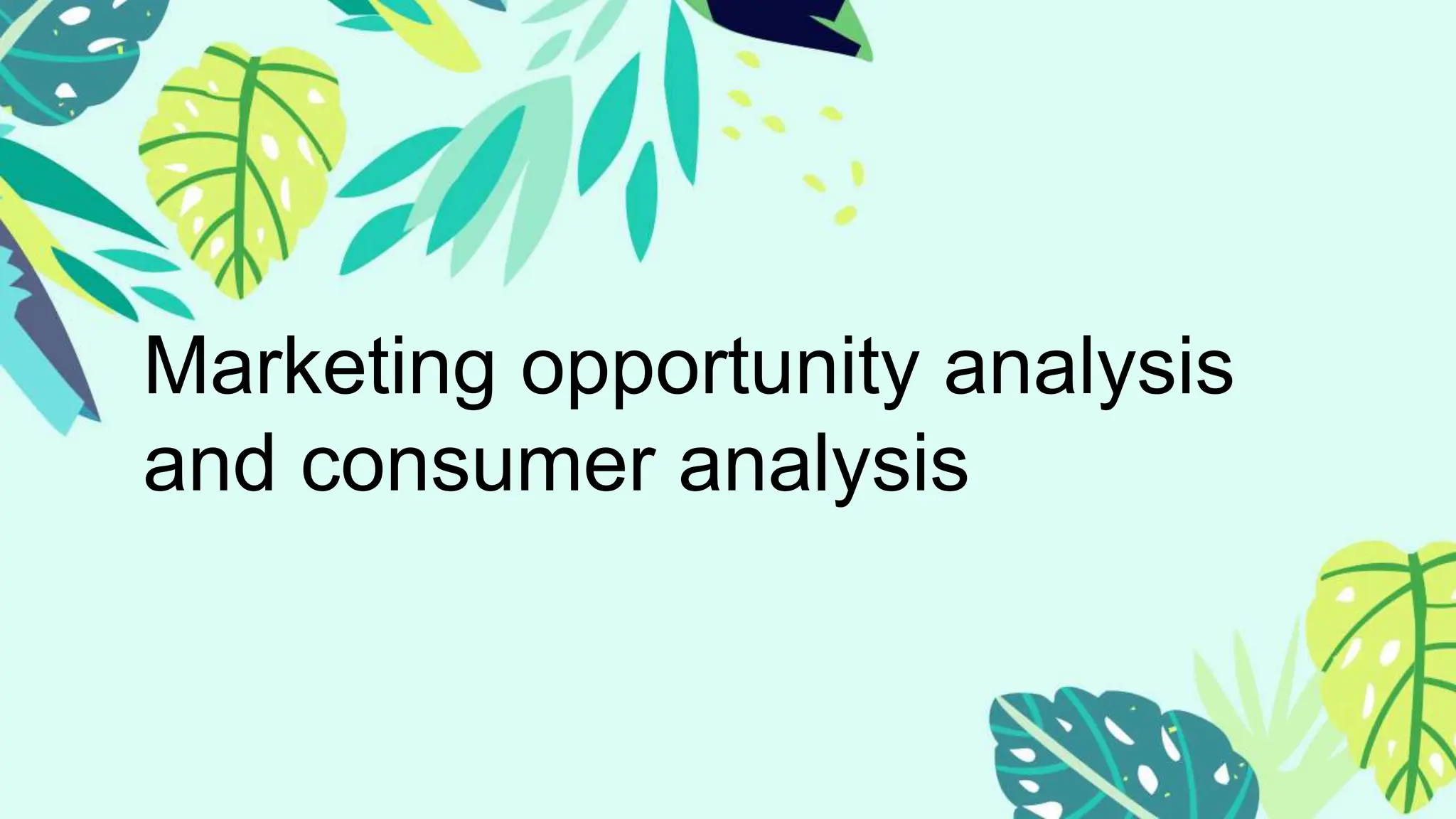 Marketing Opportunity analysis and consumer analysis | PPTX