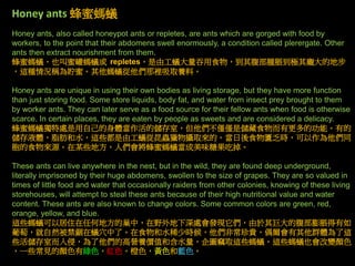 Honey ants (蜂蜜螞蟻) | PPT