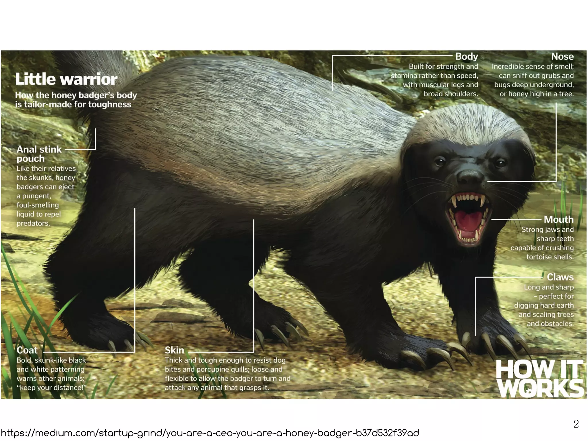 Honeybadger of BFT Protocols | PDF