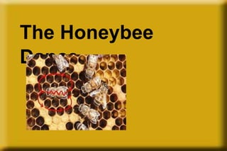 Honeybee | PPT