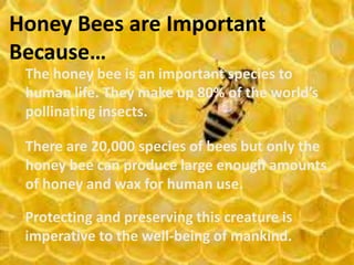 Honey bee | PPTX