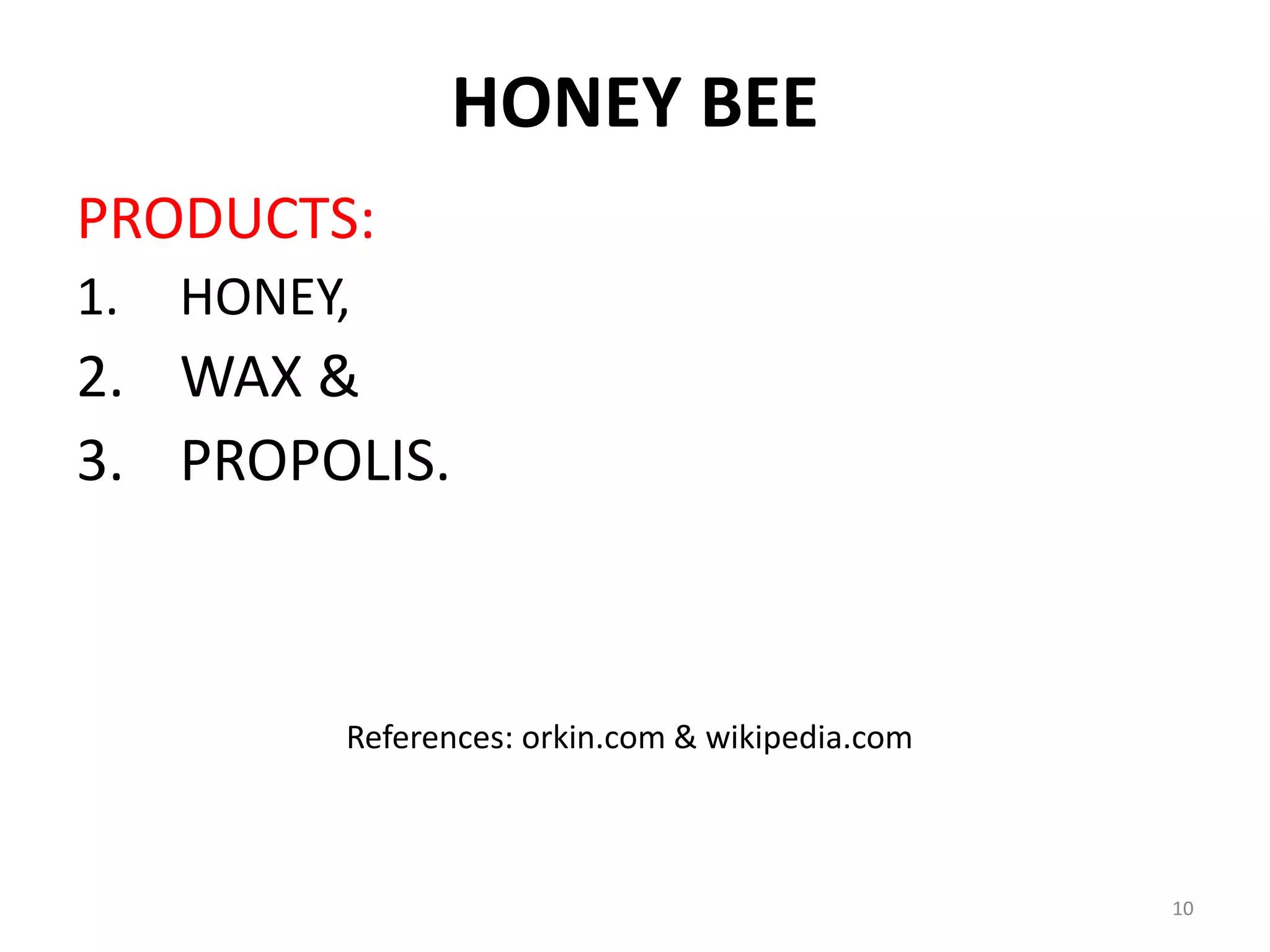 Introduction to Honey bees and their Classification | PPTX